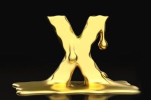 17 Verbs That Start with X [with Definitions and Examples ...